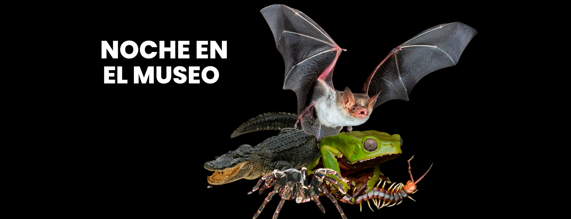 NOCHE EN EL MUSEO - EntradaLibre